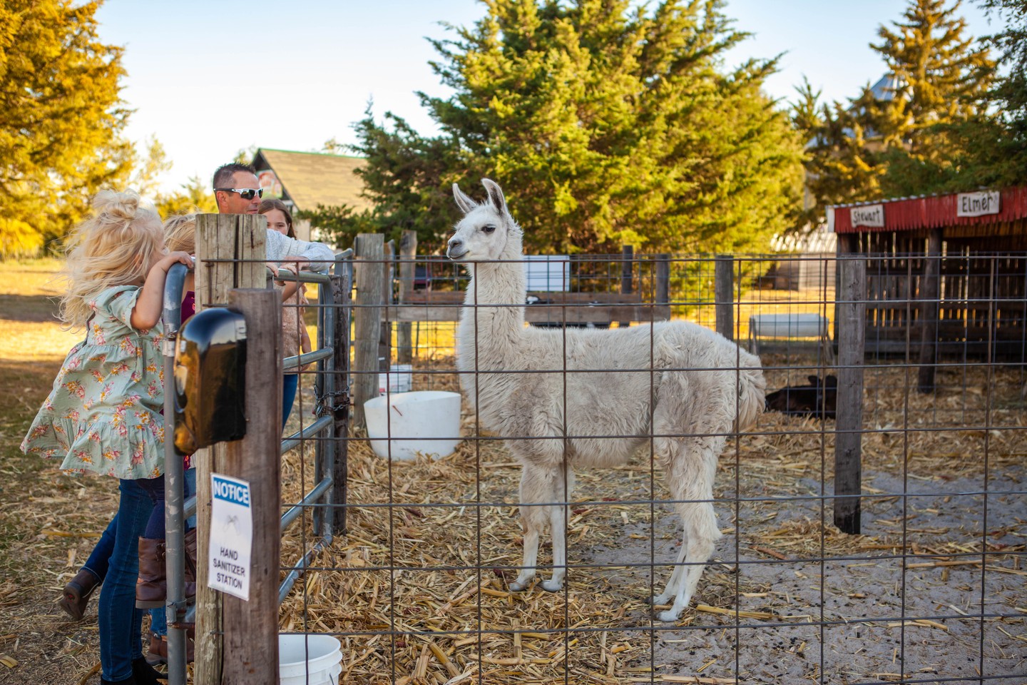 Make Farm Friends in Nebraska | VisitNebraska.com