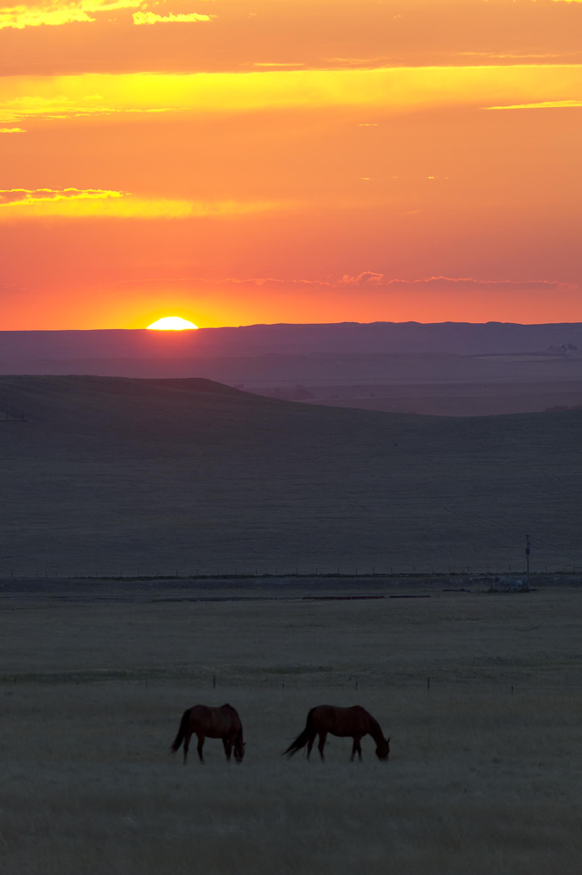 Newcastle Campground (Newcastle) | VisitNebraska.com