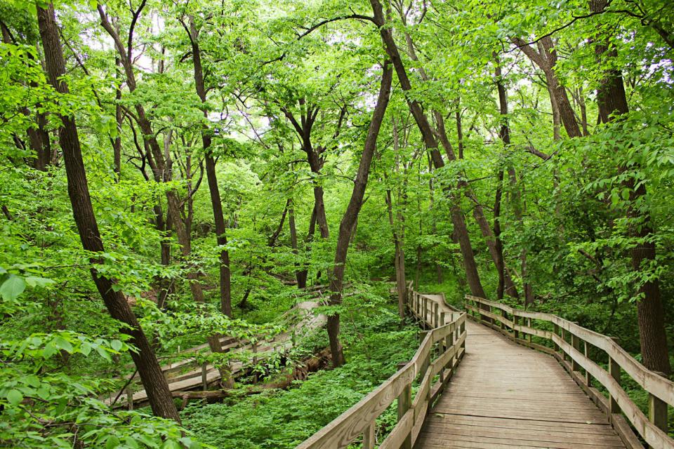 Fontenelle Forest (Bellevue) | VisitNebraska.com